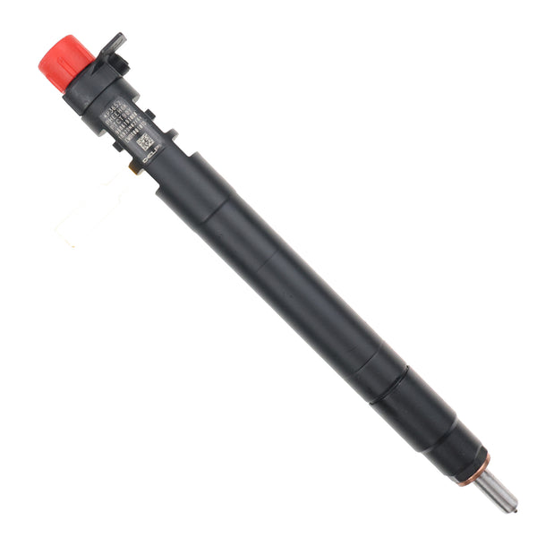 EMBR00101D Delphi Injektor Citroen Fiat Peugeot Ford Mondeo 2.0 TDCi 9 ...